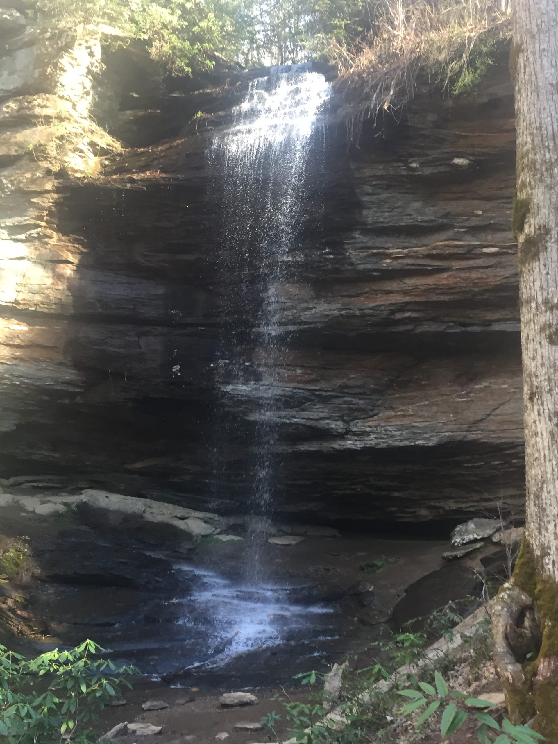 About Us – Brevard Church of Christ